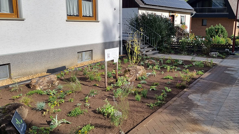 Alexander Dahm Garten und Landschaftsbau Meisterbetrieb